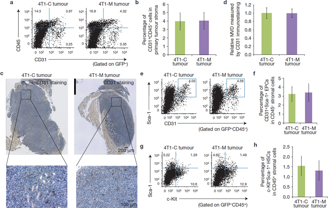 CD45.2 Antibody, PerCP-Cyanine5.5 (45-0454-82)