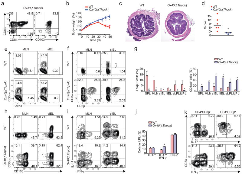 TCR beta Antibody (14-5961-82)
