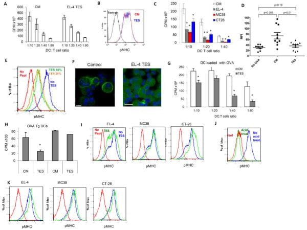 OVA257-264 (SIINFEKL) peptide bound to H-2Kb Antibody, Biotin (13-5743-82)