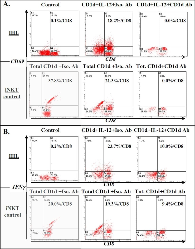 CD69 Antibody, PE (12-0699-42)