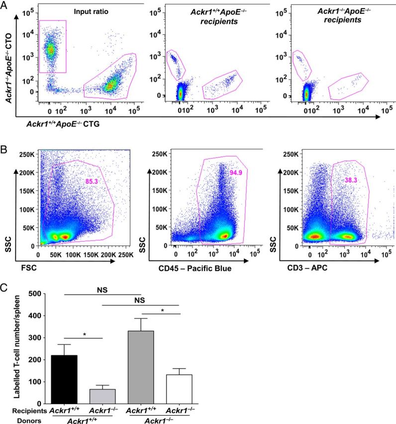 CD45.2 Antibody, Alexa Fluor™ 700 (56-0454-82)