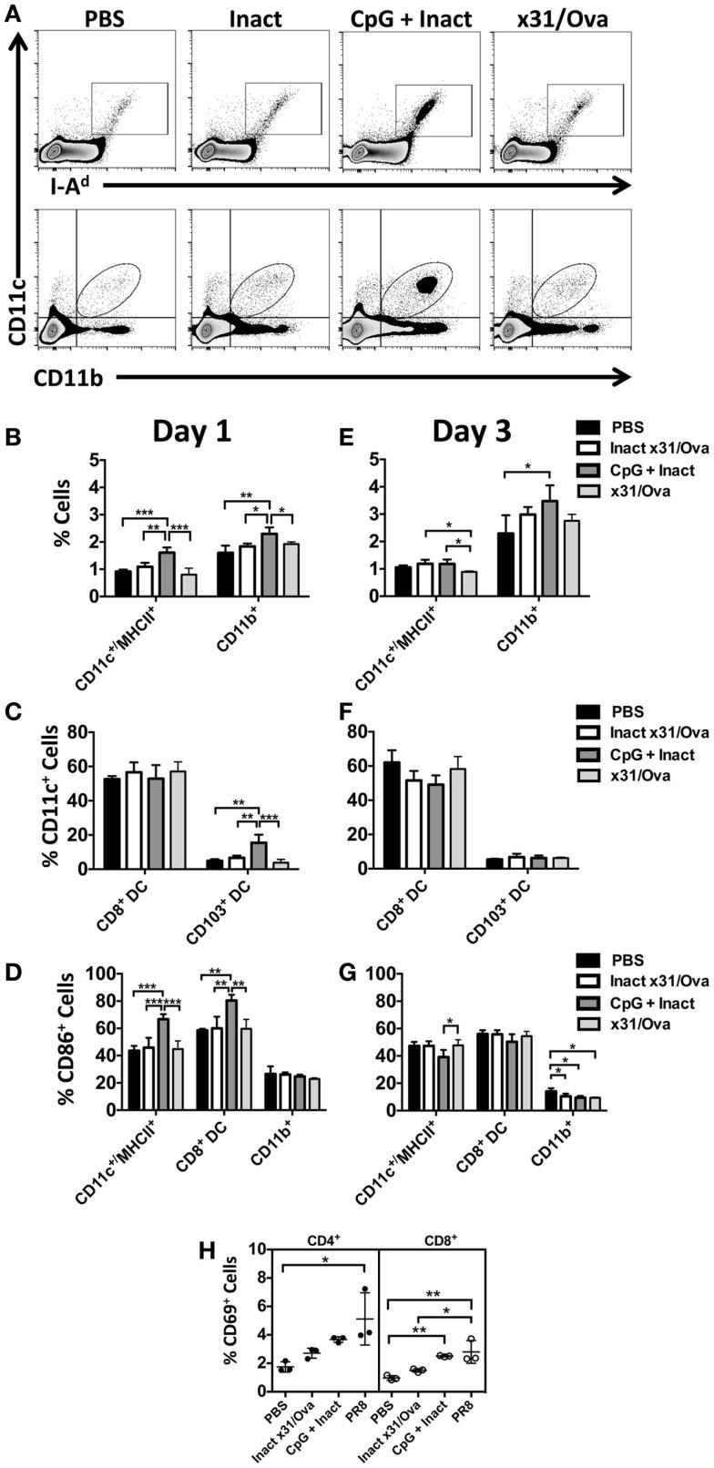 CD69 Antibody, PE-Cyanine7 (25-0691-82)