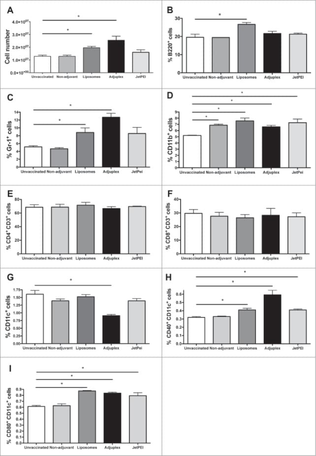 CD80 (B7-1) Antibody, FITC (11-0801-82)