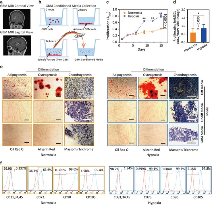 CD105 (Endoglin) Antibody, APC (17-1057-42)