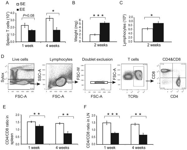 TCR beta Antibody (14-5961-82)
