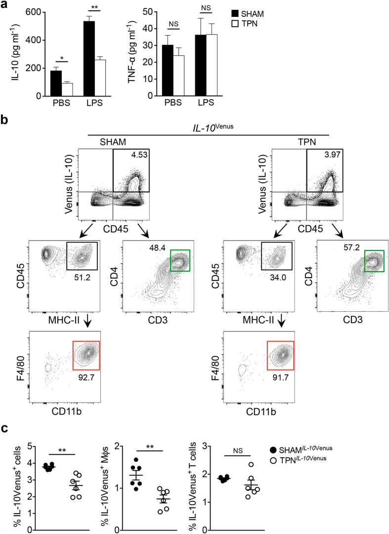 CD3 Antibody (14-0032-82)