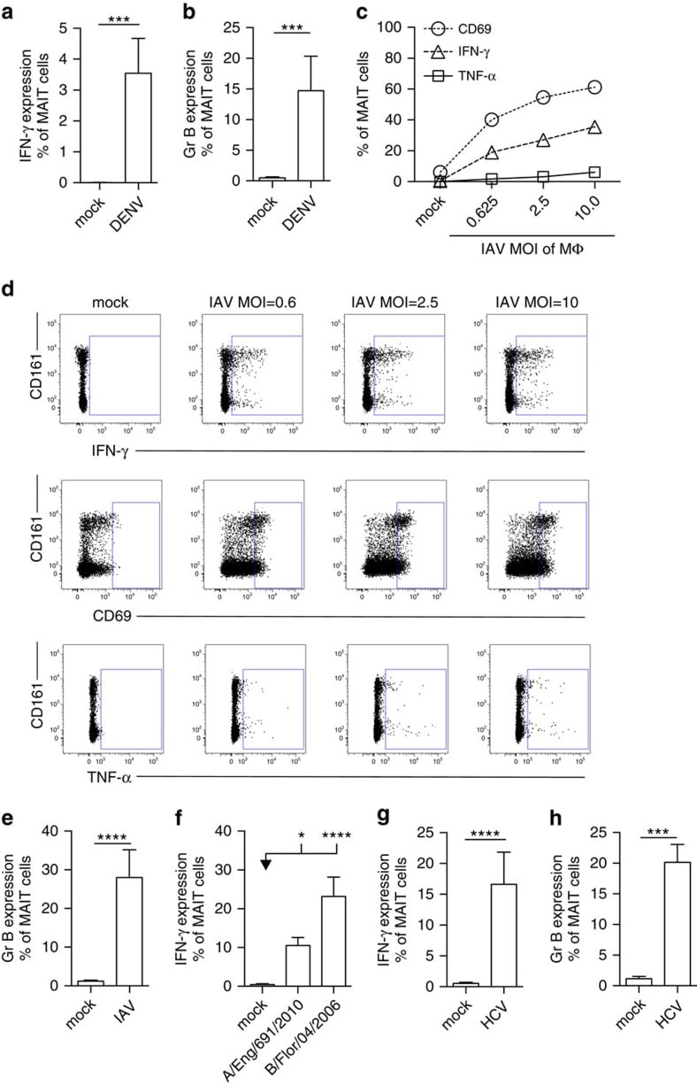 CD69 Antibody, PE (12-0699-42)