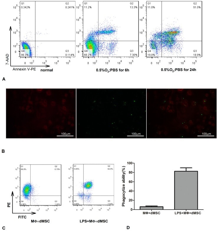 F4/80 Antibody, eFluor™ 570 (41-4801-82)