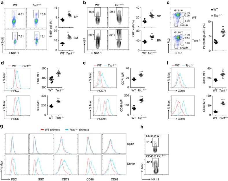 CD3 Antibody (14-0032-82)