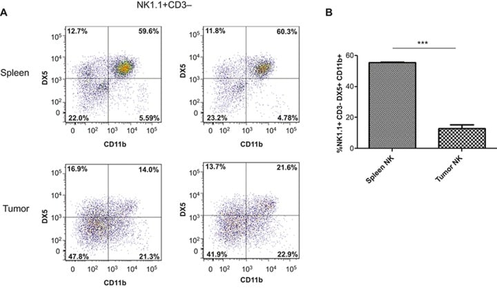 CD49b (Integrin alpha 2) Antibody, FITC (11-5971-82)
