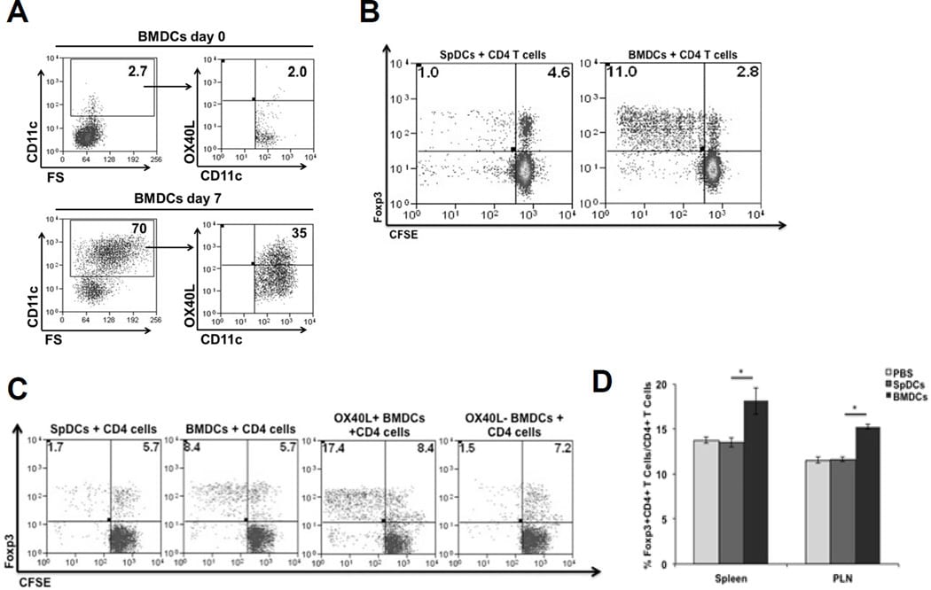 CD11c Antibody (14-0114-82)