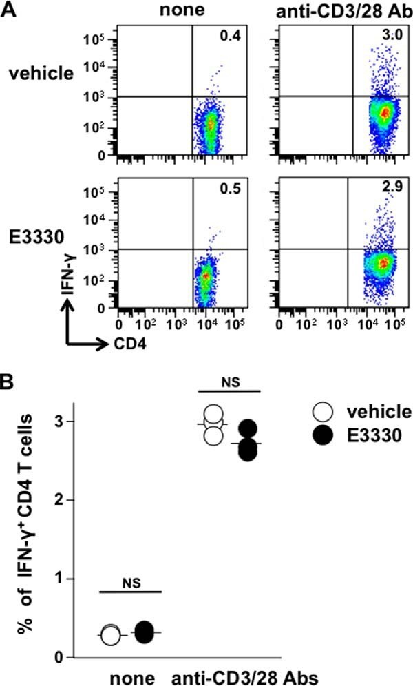 CD28 Antibody (14-0281-82)
