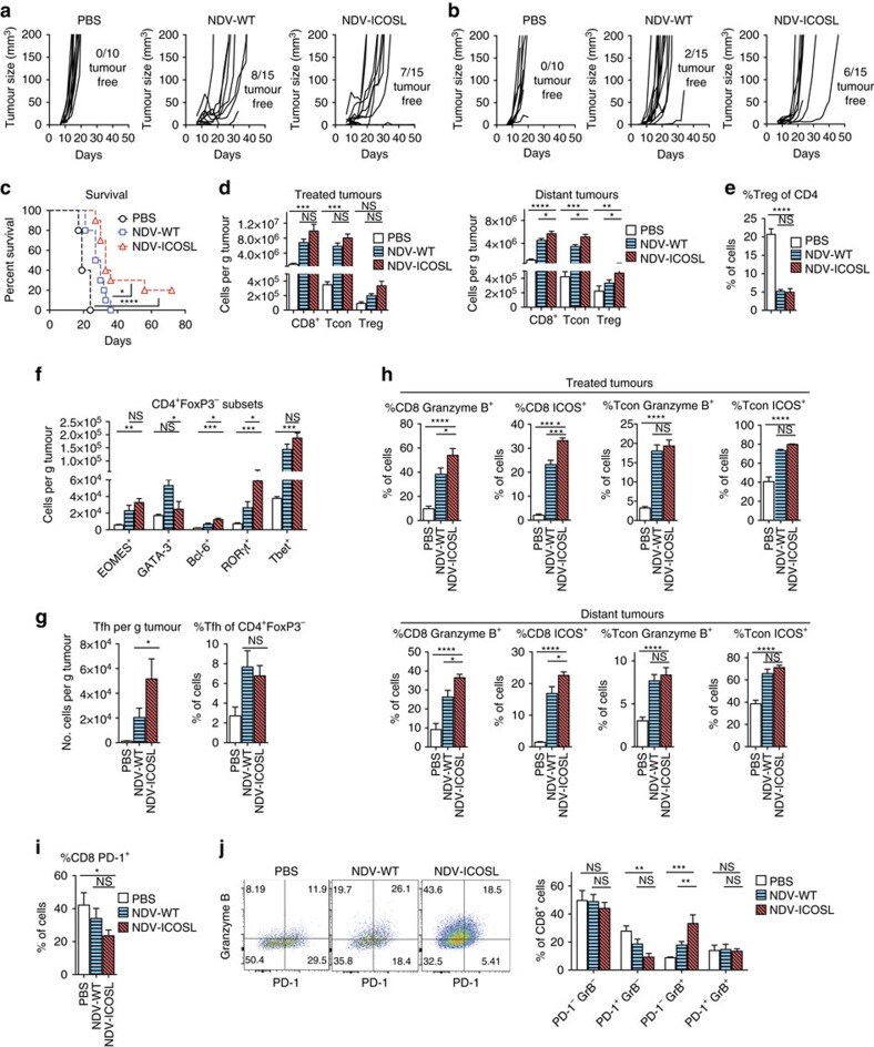 CD279 (PD-1) Antibody, PE (12-9985-82)