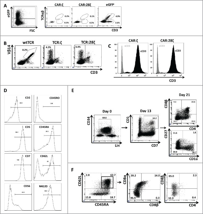 CD3 Antibody, Functional Grade (16-0038-81)