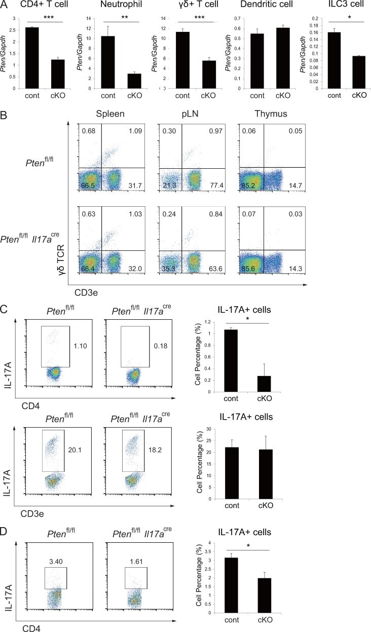 CD3e Antibody, FITC (11-0031-82)