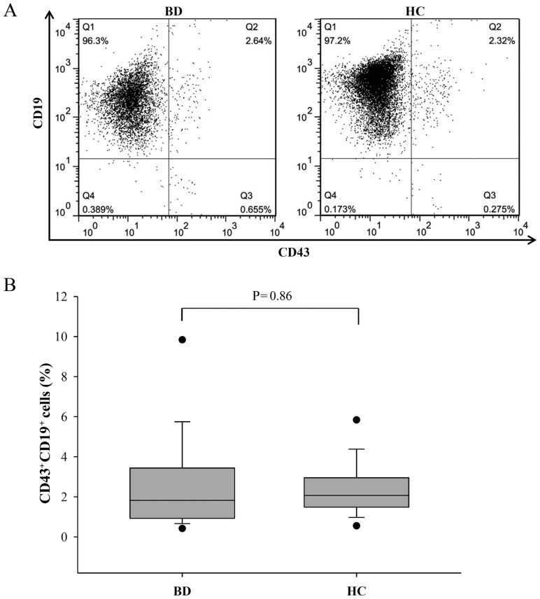 CD43 Antibody, FITC (11-0439-42)