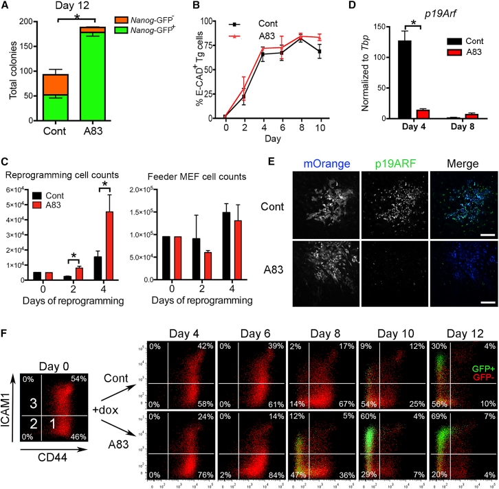 CD54 (ICAM-1) Antibody (14-0541-82)