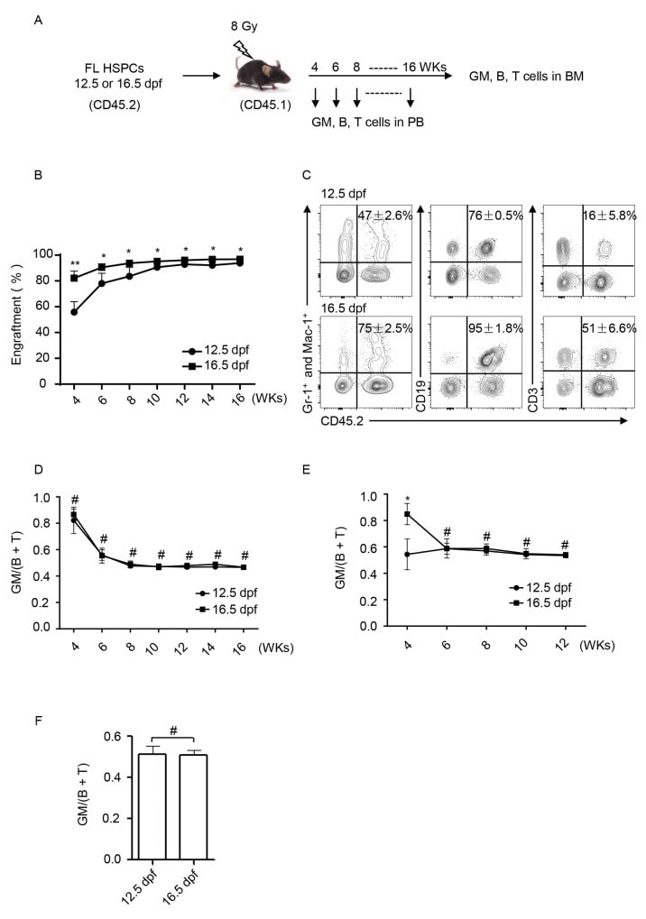 CD3 Antibody (14-0032-82)