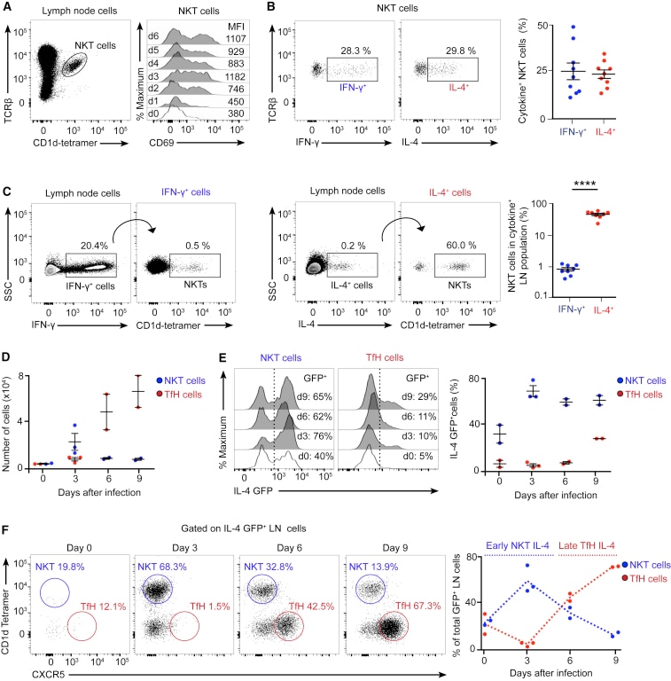 CD185 (CXCR5) Antibody, Biotin (13-7185-82)