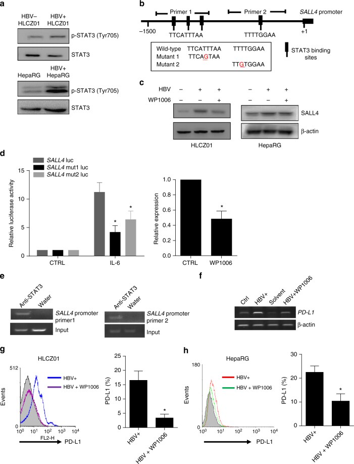 CD274 (PD-L1, B7-H1) Antibody, PE (12-5982-82)