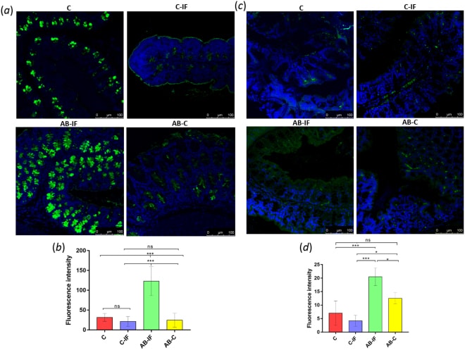 IL-23 p19 Antibody, Functional Grade (16-7232-81)