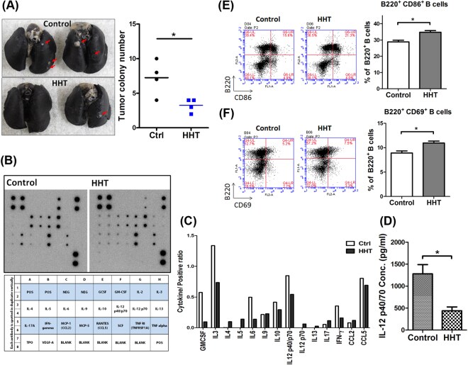 CD69 Antibody, APC (17-0691-82)