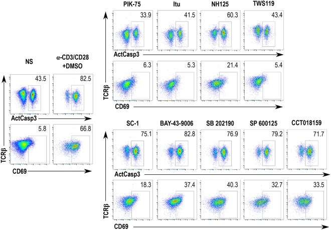 CD69 Antibody, PE (12-0691-82)