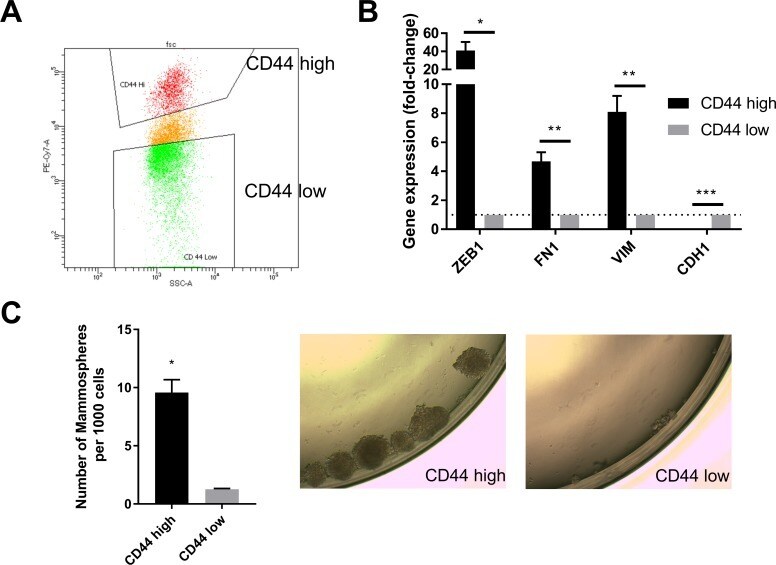 CD44 Antibody, FITC (11-0441-81)