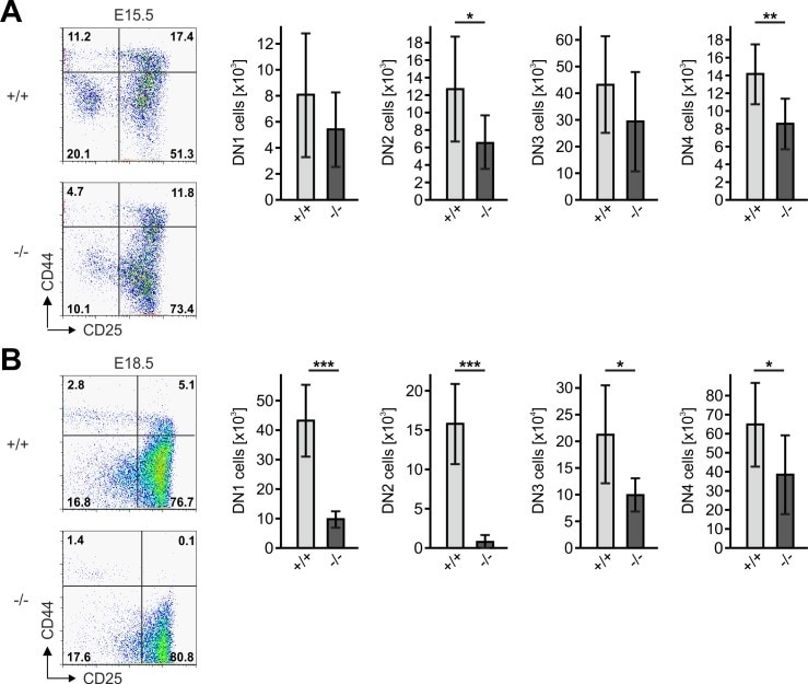 TCR beta Antibody (14-5961-82)