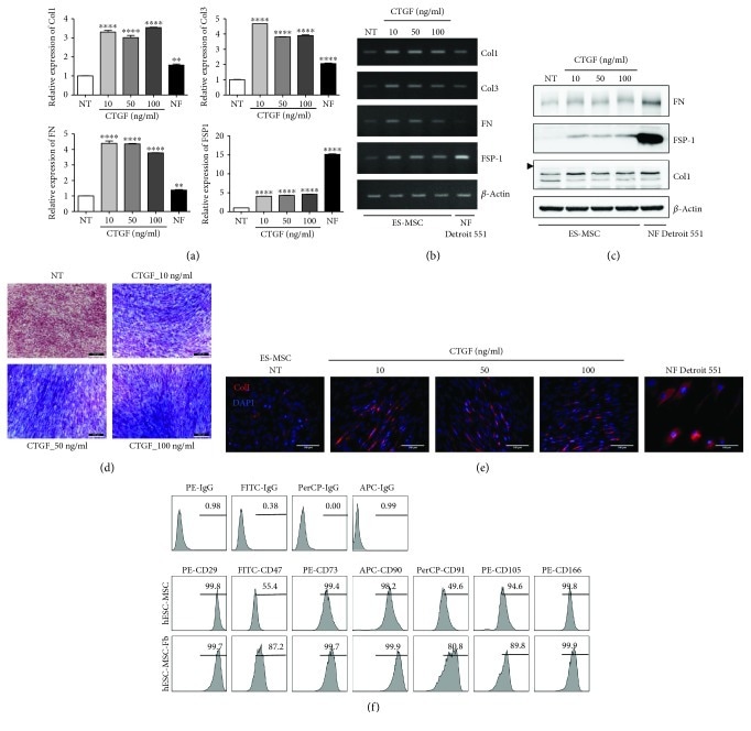 CD29 (Integrin beta 1) Antibody, FITC (11-0299-42)