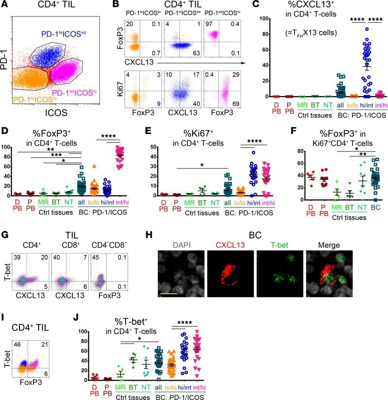 CD278 (ICOS) Antibody, PE-Cyanine7 (25-9948-42)