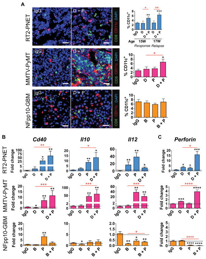 CD11c Antibody, Alexa Fluor™ 700 (56-0114-82)