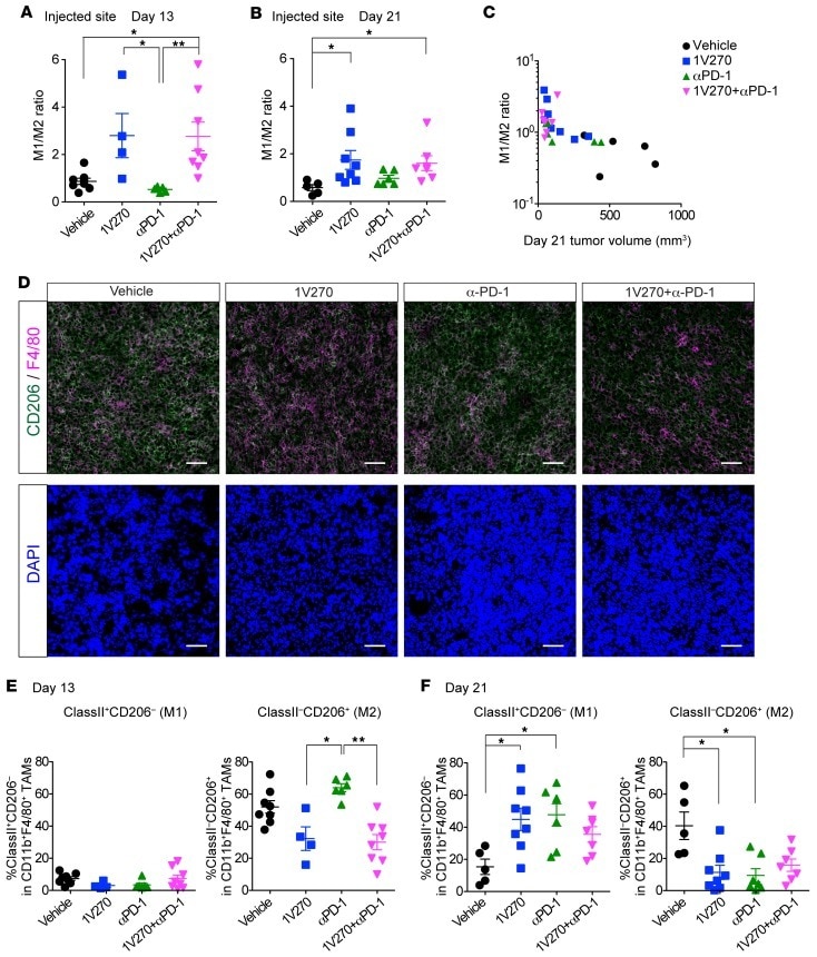 F4/80 Antibody, PerCP-Cyanine5.5 (45-4801-82)