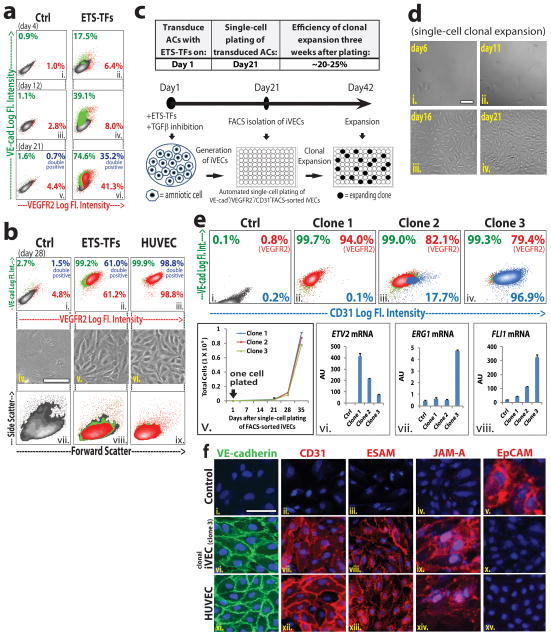 CD31 (PECAM-1) Antibody, APC-eFluor™ 780 (47-0319-42)