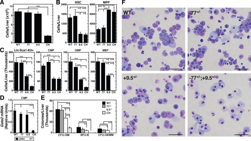 CD48 Antibody, FITC (11-0481-82)