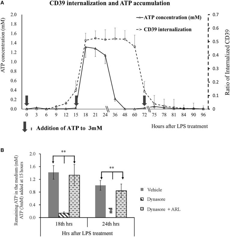 CD39 Antibody, Functional Grade (16-0391-83)