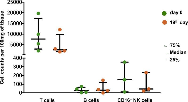 CD16 Antibody, FITC (11-0168-42)