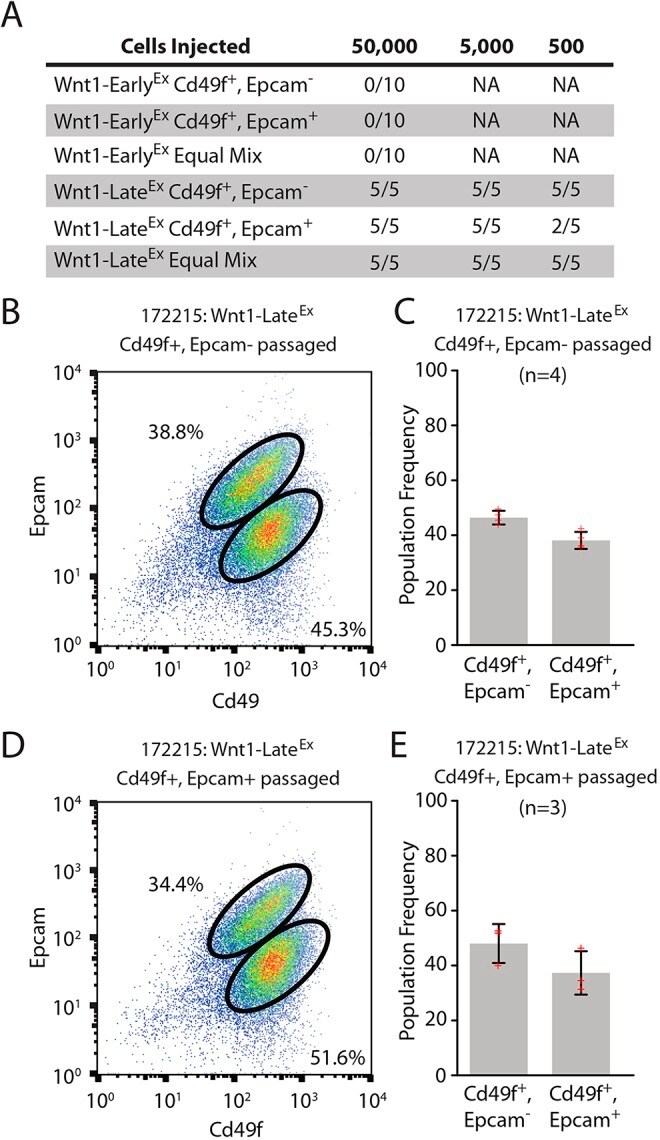 CD49f (Integrin alpha 6) Antibody, PE (12-0495-82)