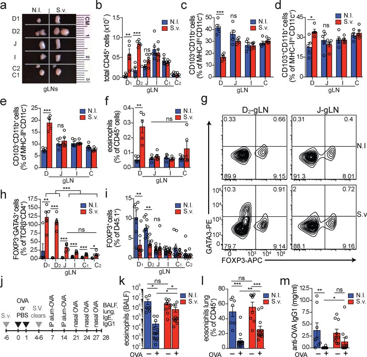 Gata-3 Antibody, PE-Cyanine7 (25-9966-42)