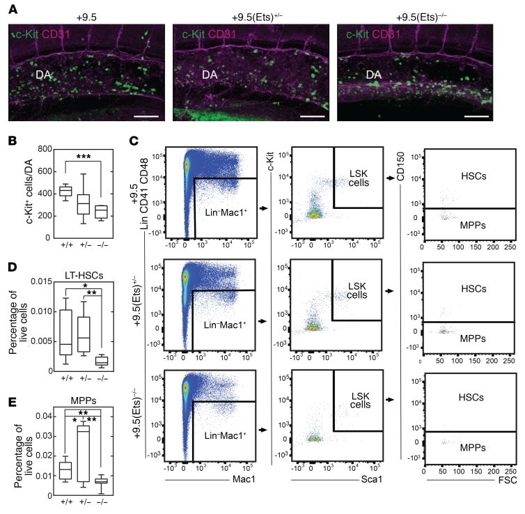 CD41a Antibody, PE (12-0411-82)