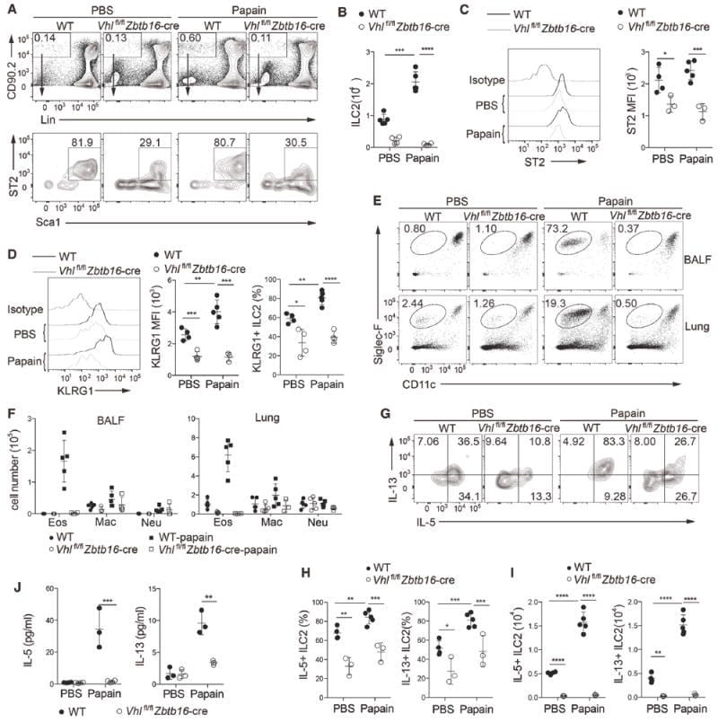 IL-13 Antibody, PE (12-7133-41)