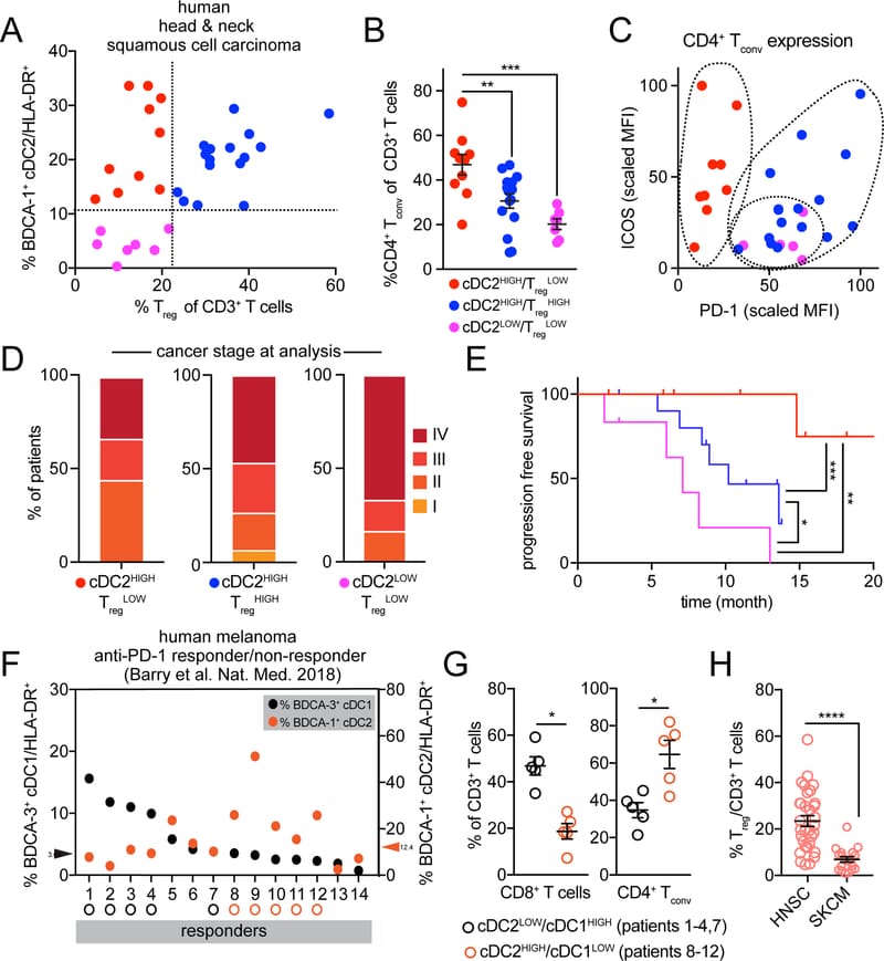 CD3 Antibody, PE (12-0037-42)