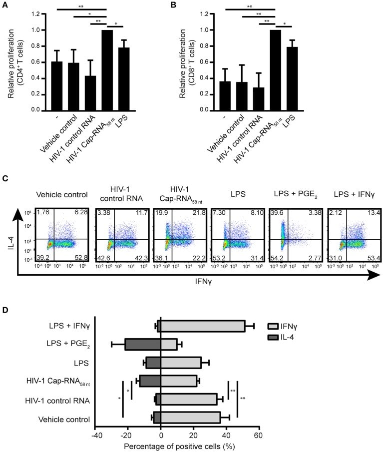 CD3 Antibody, FITC (11-0036-42)
