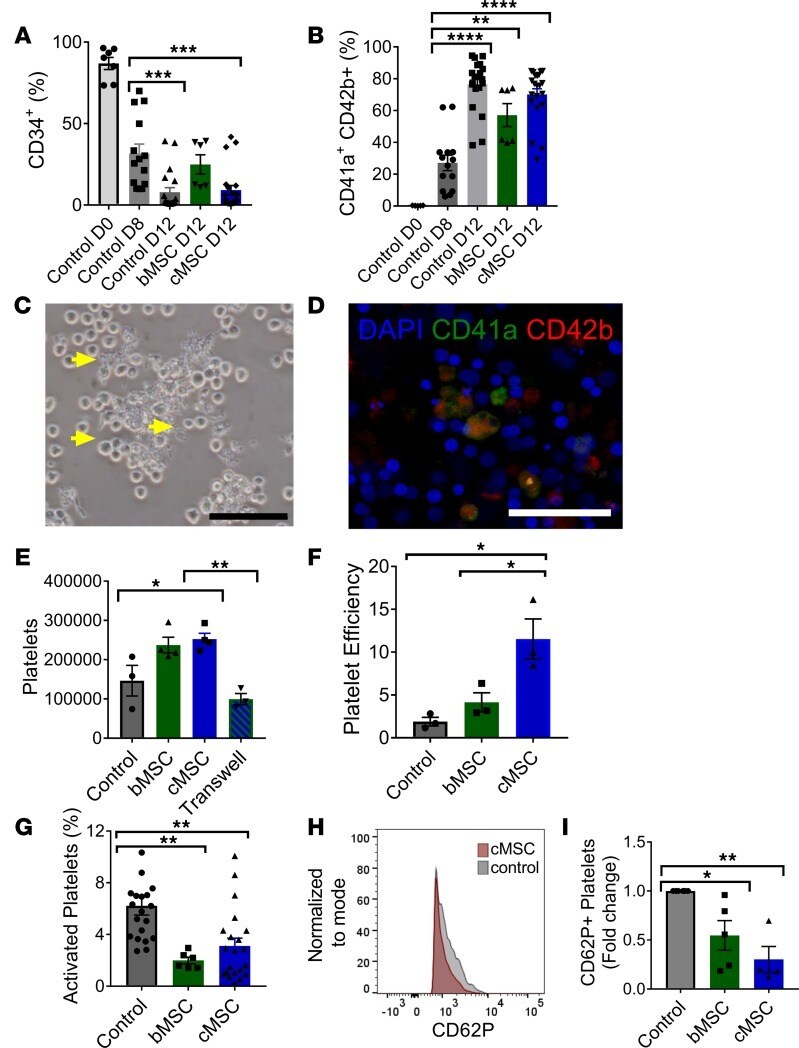 CD62P (P-Selectin) Antibody, PE (12-0626-82)