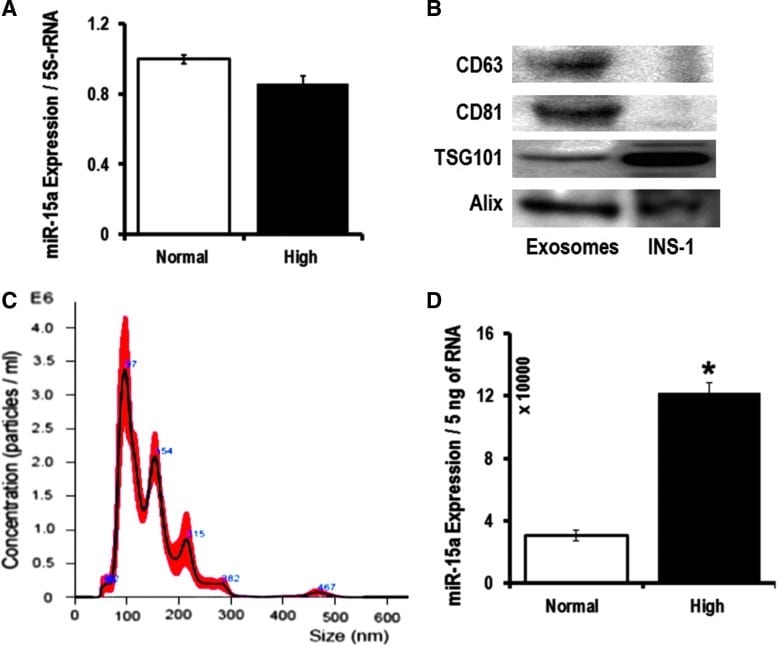 CD81 Antibody (10630D)