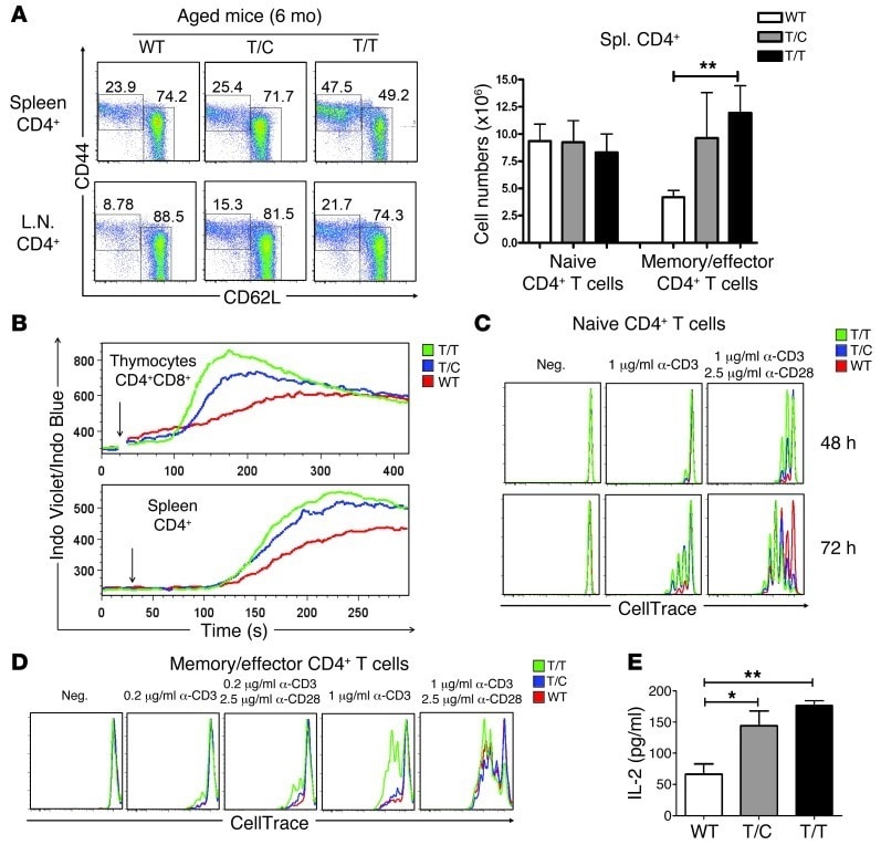 CD62L (L-Selectin) Antibody, PerCP-Cyanine5.5 (45-0621-82)
