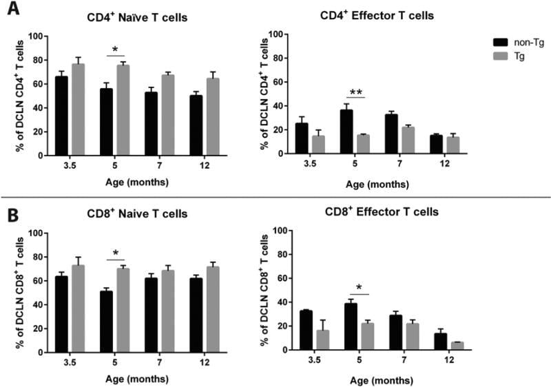 CD62L (L-Selectin) Antibody, PE (12-0621-82)