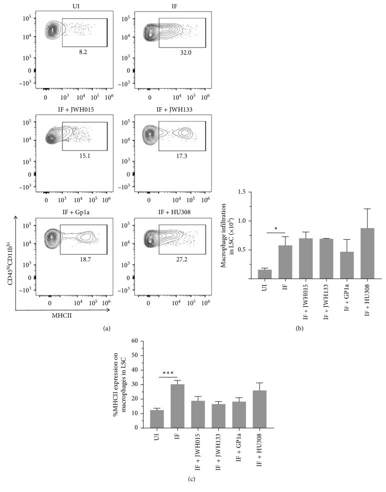 CD8a Antibody, PE (12-0081-82)