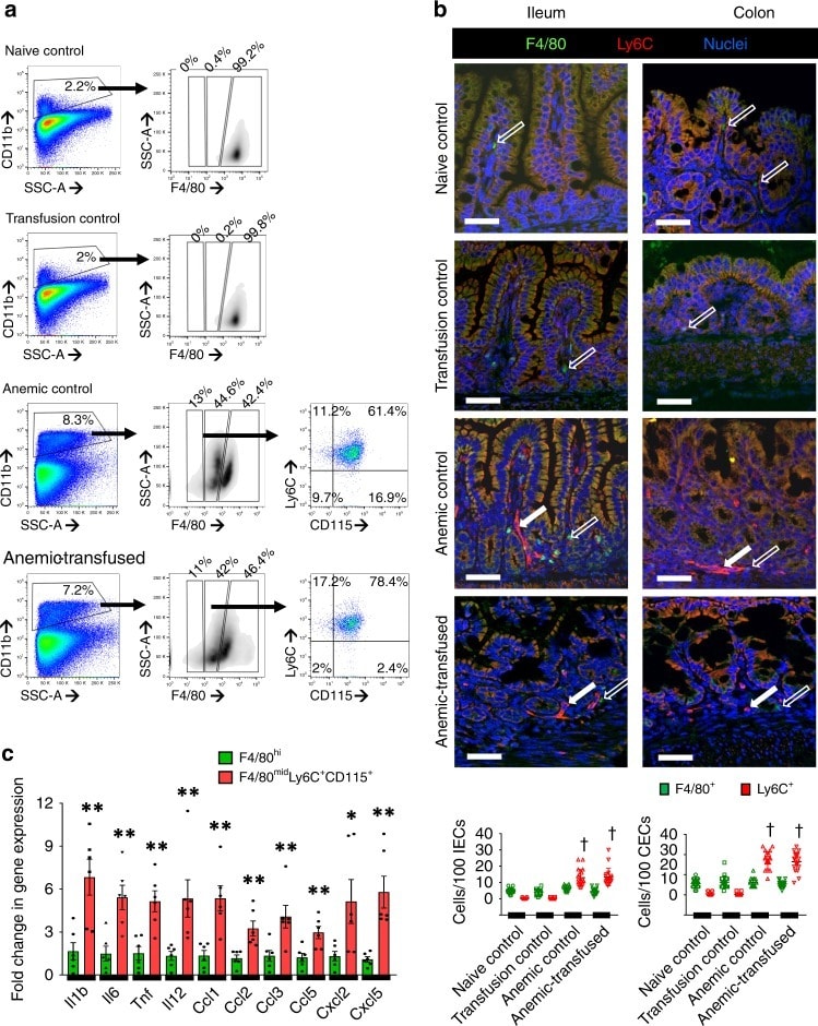 F4/80 Antibody, eFluor® 450 (48-4801-82)
