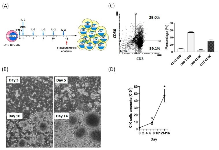 CD57 Antibody, eFluor® 450 (48-0577-42)